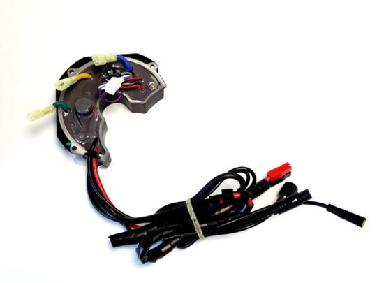 Bafang Controllers – Golden Motor